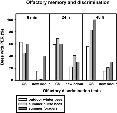 Olfactory Memory And Discrimination Of Outdoor Winter Bees Summer