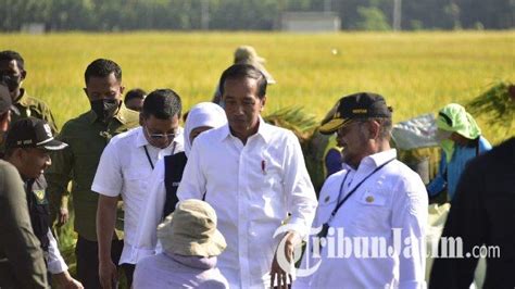 Dampingi Jokowi Panen Raya Padi Mentan SYL Sebut Produksi Ngawi Lebih