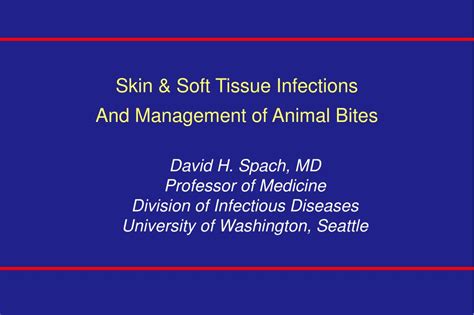 Ppt Skin And Soft Tissue Infections Powerpoint Presentation Free