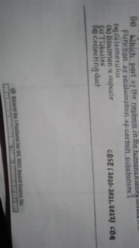 Function Of Reabsorption Of Certain Substances A Glomerulus B Bowman