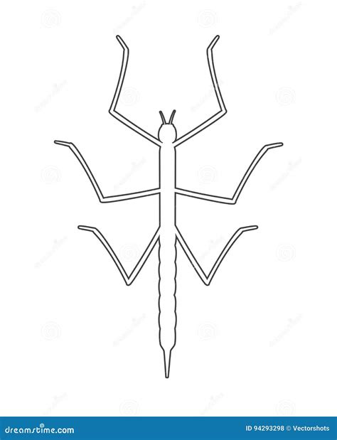 Drawing Art Of Stick Insect Stock Vector Illustration Of Drawing