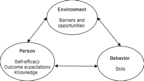 Social Cognitive Theoretical Framework Based On Kelder Et Al 2015
