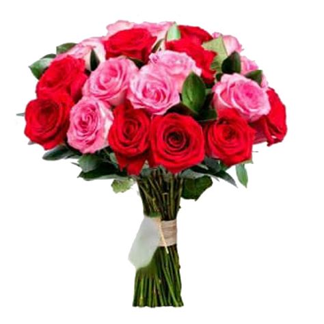 Buquê 24 Rosas Vermelhas e Cor de Rosa Doce Magia Flores