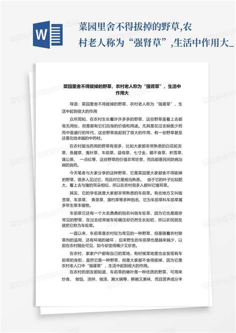 菜园里舍不得拔掉的野草农村老人称为“强肾草”生活中作用大word模板下载编号qbnvaagm熊猫办公