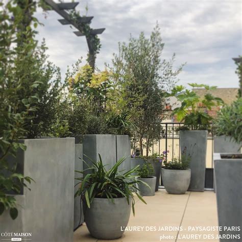 Aménagement paysager d un grand balcon à Montrouge L Aurey Des