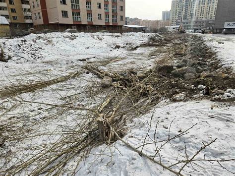 Сэлбэ голын дагуу мод тайрсан гэх асуудалд цагдаагийн байгууллагаас