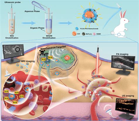 Schematic Illustration Of The Synthetic Process For Download