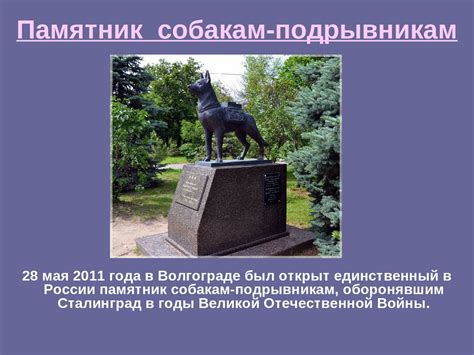 Собаки – участники Великой Отечественной войны - презентация онлайн