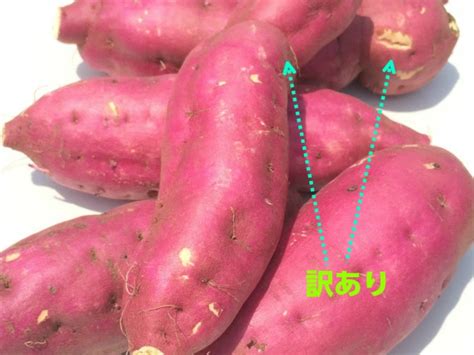 紫いも 有機肥料のみの栽培 11年 千葉県香取市産 紫芋5kg箱 訳あり 土付き：千葉県産のパープルスイートロード｜食べチョク｜産地直送産直