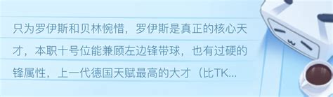 浅谈拜仁多特争冠战，德甲和德国足球 哔哩哔哩