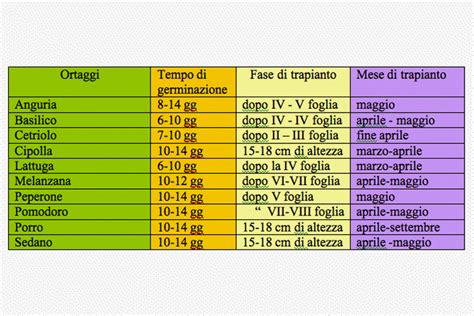 Piccola Tabella Delle Semine Di Fine Inverno In Semenzaio InOrto