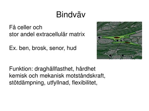 Ppt Cellbiologi Powerpoint Presentation Free Download Id7080836