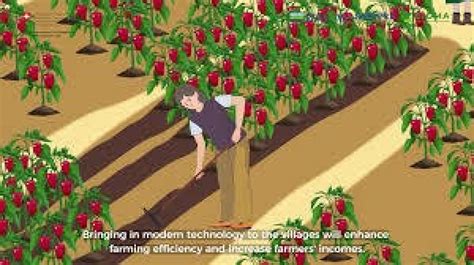 Հայաստանի մարզերը զարգացման հսկայական ներուժ ունեն՝ հատկապես գյուղատնտեսության և գյուղական