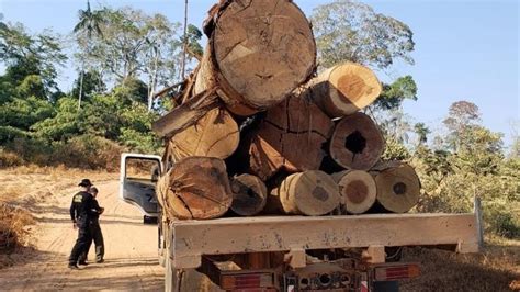 Representantes Do Agronegócio E Empresários Responsabilizam O Governo