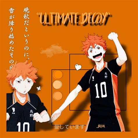 𝑯𝒊𝒏𝒂𝒕𝒂 𝑬𝒅𝒊𝒕 𝑺𝒆𝒕 Haikyuu Amino