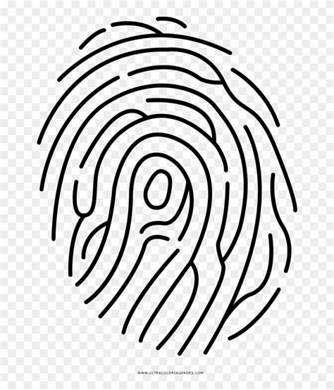 Fingerprint Coloring Page Huellas Dactilares Para Colorear Clipart PikPng