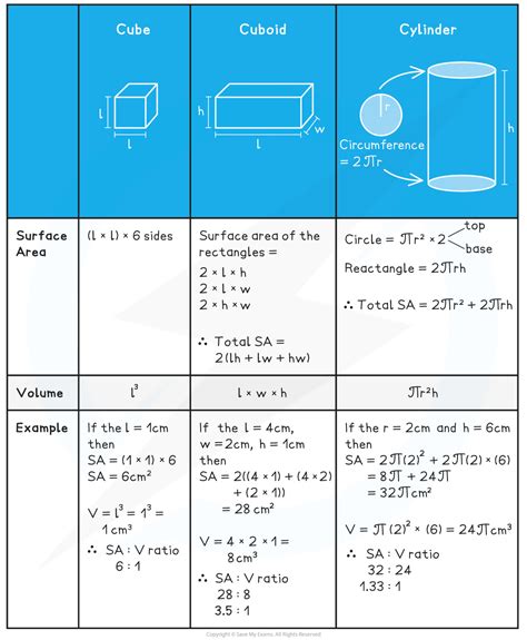 Cie A Level Biology复习笔记4 2 7 Surface Area To Volume Ratios 翰林国际教育