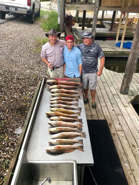 Redfish And Trout In The Delacroix Marshes