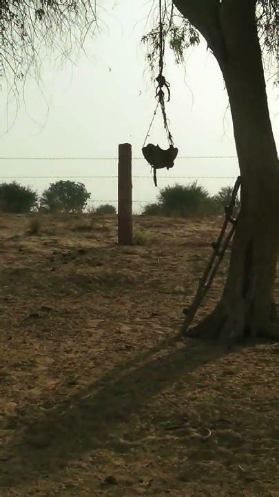 Day 91100days Challenge Youtube