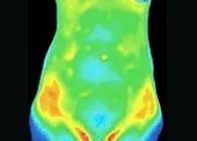 Womens Health Scan Perspectivethermography Com