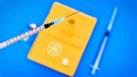 E Impfpass Selbst Ausdrucken So Kommen Sie Zur Handy Signatur