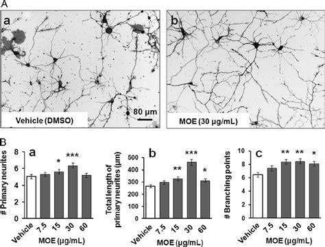 Dose Optimization Of Ethanol Extracts Of Moringa Oleifera Leaf Moe Download Scientific