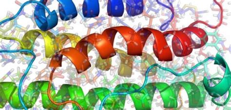 Bcn Peg Irgd Bcn Peg Pep 1 环丙烷环辛炔 聚乙二醇 多肽 知乎