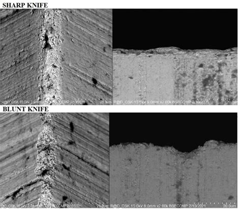 Comparison Of Dull And Sharp Knives Download Scientific Diagram