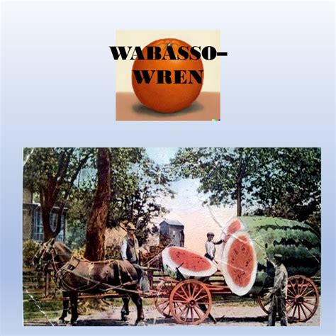 41 Florida Citrus Crate Labels Wabasso To Wren