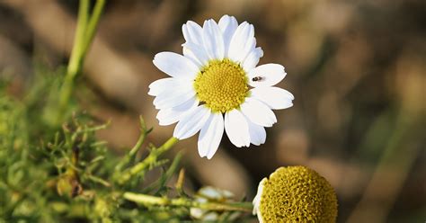 5 Common Makeup Problems And Their Solutions Soultree