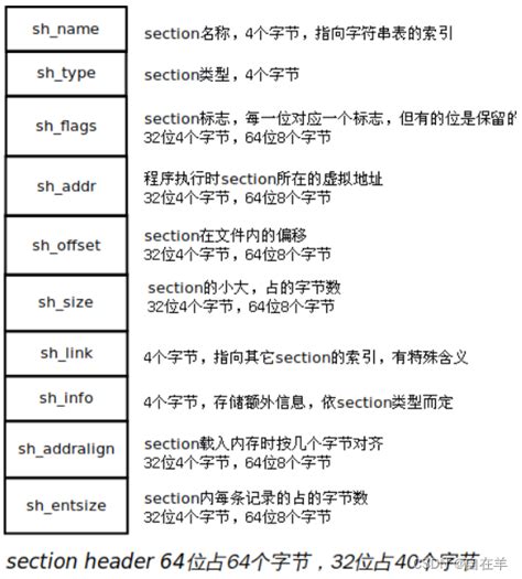 Section Header Csdn博客