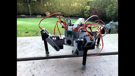 Step By Step Assembly Of The D Printed Raspberry Pi Spider Robot Youtube