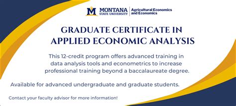 Professionals Degree Certificate