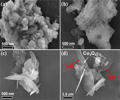 The SEM Images Of A Co 3 O 4 B SPI C And D 3 0CO SPI Composite Download Scientific