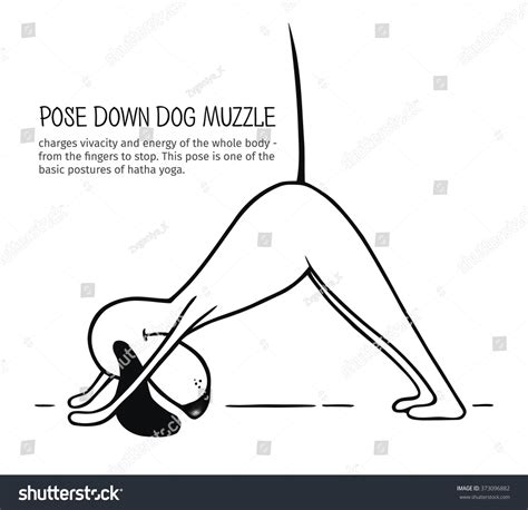 Cartoon Dogs Show Pose Downward Facing Stock Vector Royalty Free