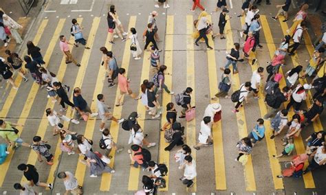 積金評級2月MPF人均暫賺9900元 A股港股基金領漲