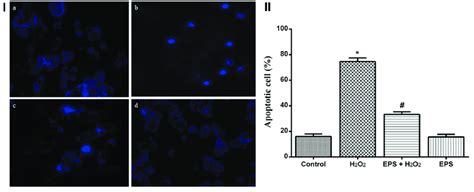 Apoptosis And Dna Fragmentation Inhibition Effect Of Epalrestat In