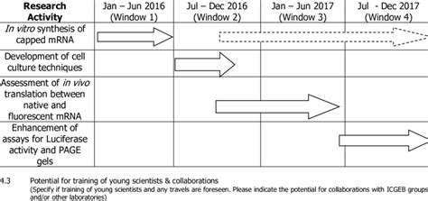 Gantt Chart For Research Activities For The Projected Two Year Window Download Table