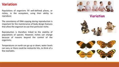 How Do Organisms Reproducereproduction Part 1 Ppt