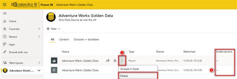 New Power Bi Reports From A Golden Dataset Excelerator Bi