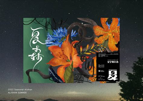 在森林中看電影！嘉義林管處推出阿里山限定神木森林電影院｜欣傳媒