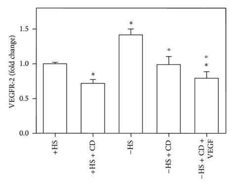Caveolin 1 Interaction With Nox2 And Vegfr 2 In The Presence Or Absence