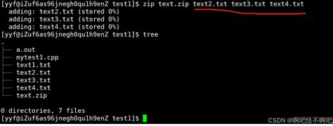 Linux常见指令介绍下（入门级） Csdn博客