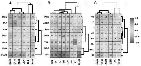 Correlations Between Enzymatic Activities Soil Chemical Attributes