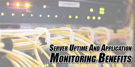 Server Uptime Monitoring That Maximizes Your Websites Availability