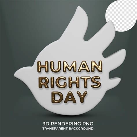 Modelo de cartaz para a celebração do dia dos direitos humanos PSD