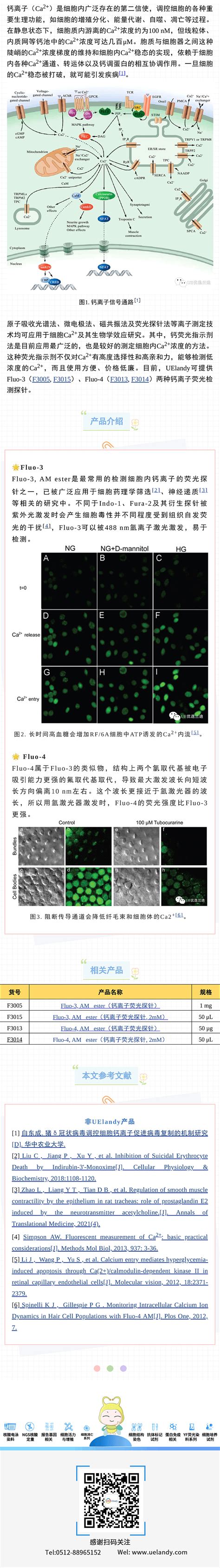 今日推荐丨钙离子成像技术苏州优逸兰迪生物科技有限公司