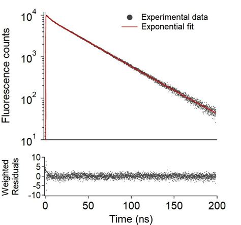 13 Fluorescence Lifetime Of Tzda1 Monomer In Mecn λ Exc 520 Nm