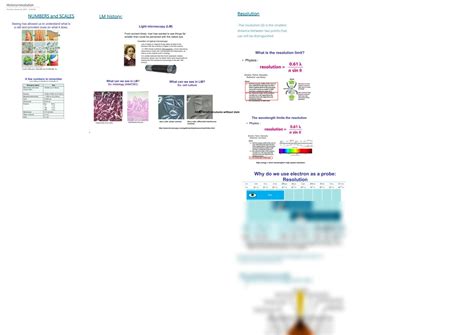 Solution Anat Electron Microscopy Lecture Exam Compilation Notes