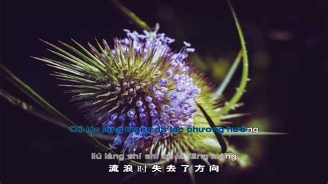 Vietsub Pinyin Con Sói Cô độc ‖ 孤独的那匹狼 ‖ 演唱 刘钧 ‖ Biểu Diễn Lưu